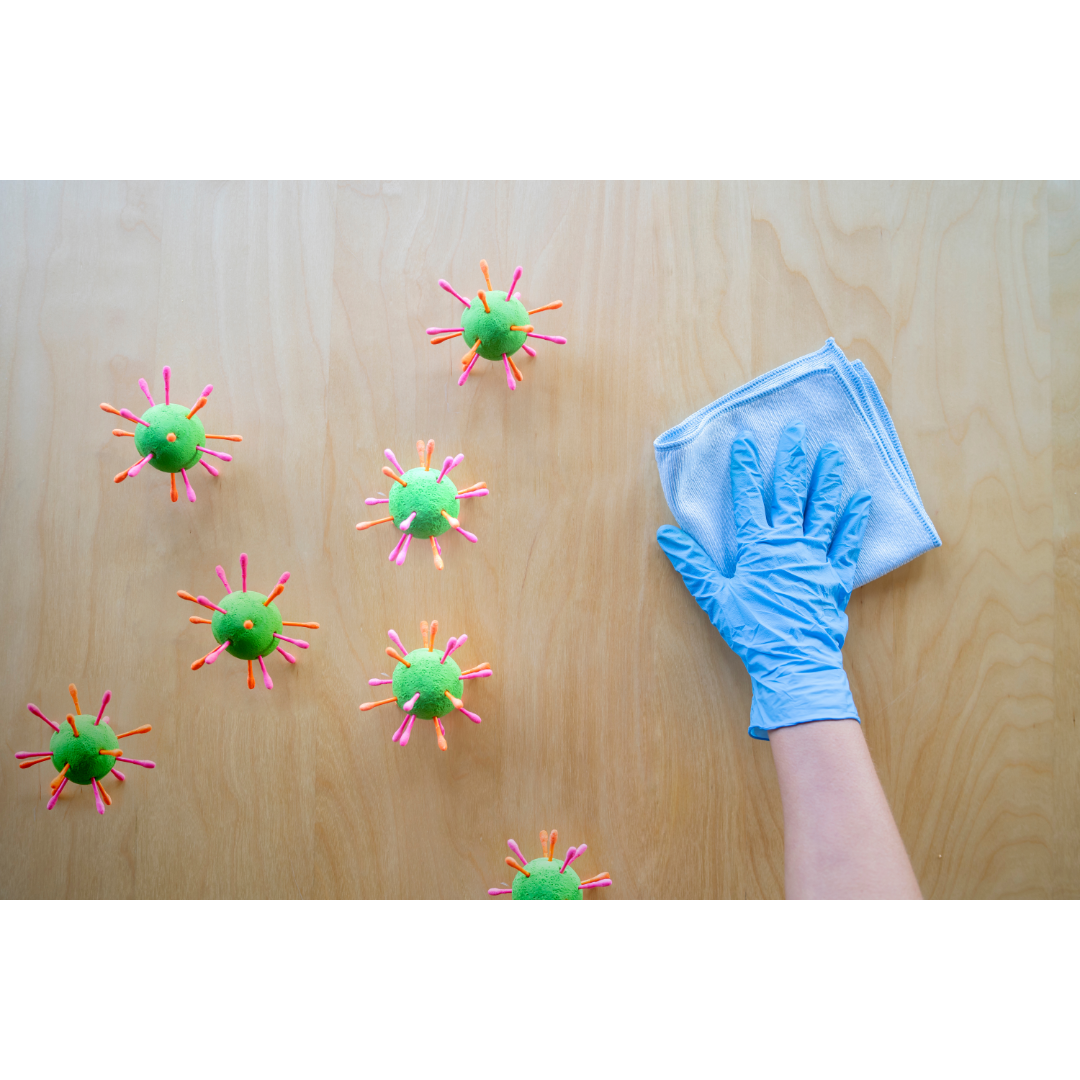 How To Make A Virus Model